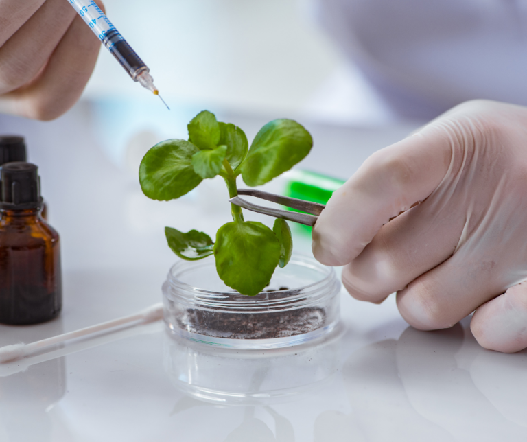 IB Biology SL Syllabus - Everything You Need To Know.