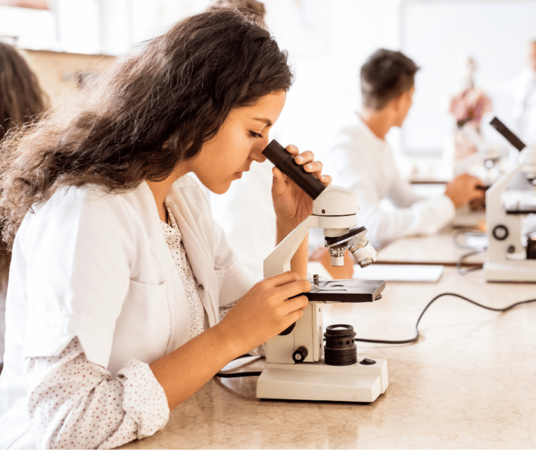 Biology IA Marking Criteria - How To Use It For A Top IB Score ...