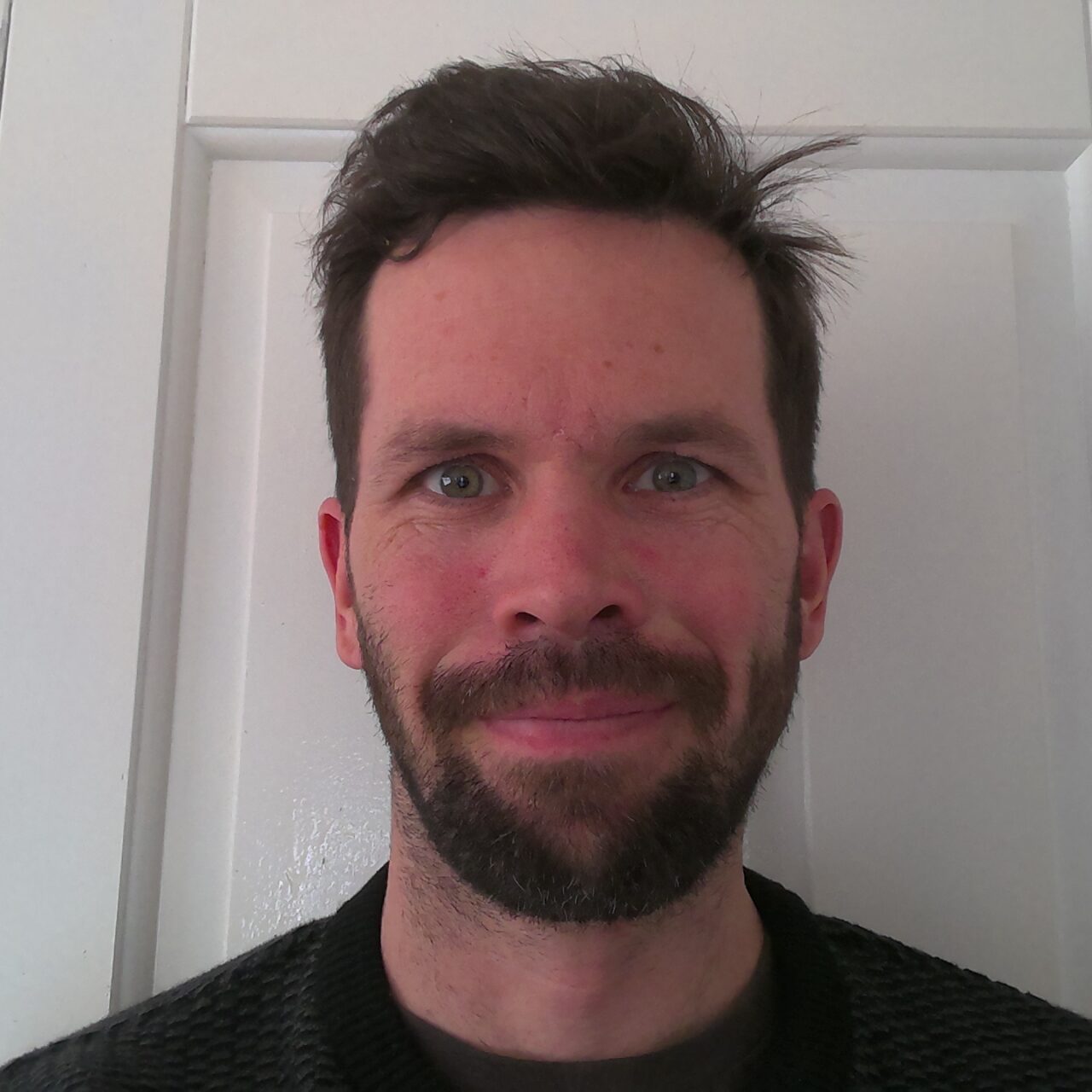 IB SEHS Guide: Succeed in Sports, Exercise and Health Science | TutorsPlus