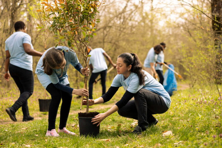 CAS in the IB: Understanding Creativity, Action, and Service | TutorsPlus